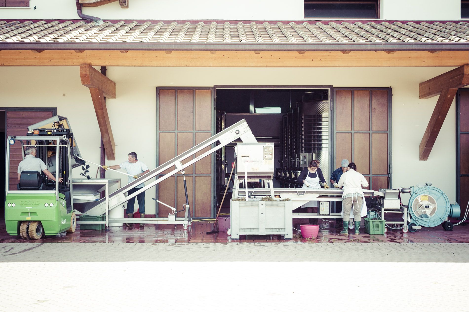 Baldetti | Winery and wine tasting in Cortona, Tuscany