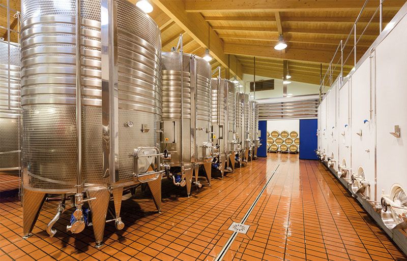 Baldetti | Winery and wine tasting in Cortona, Tuscany