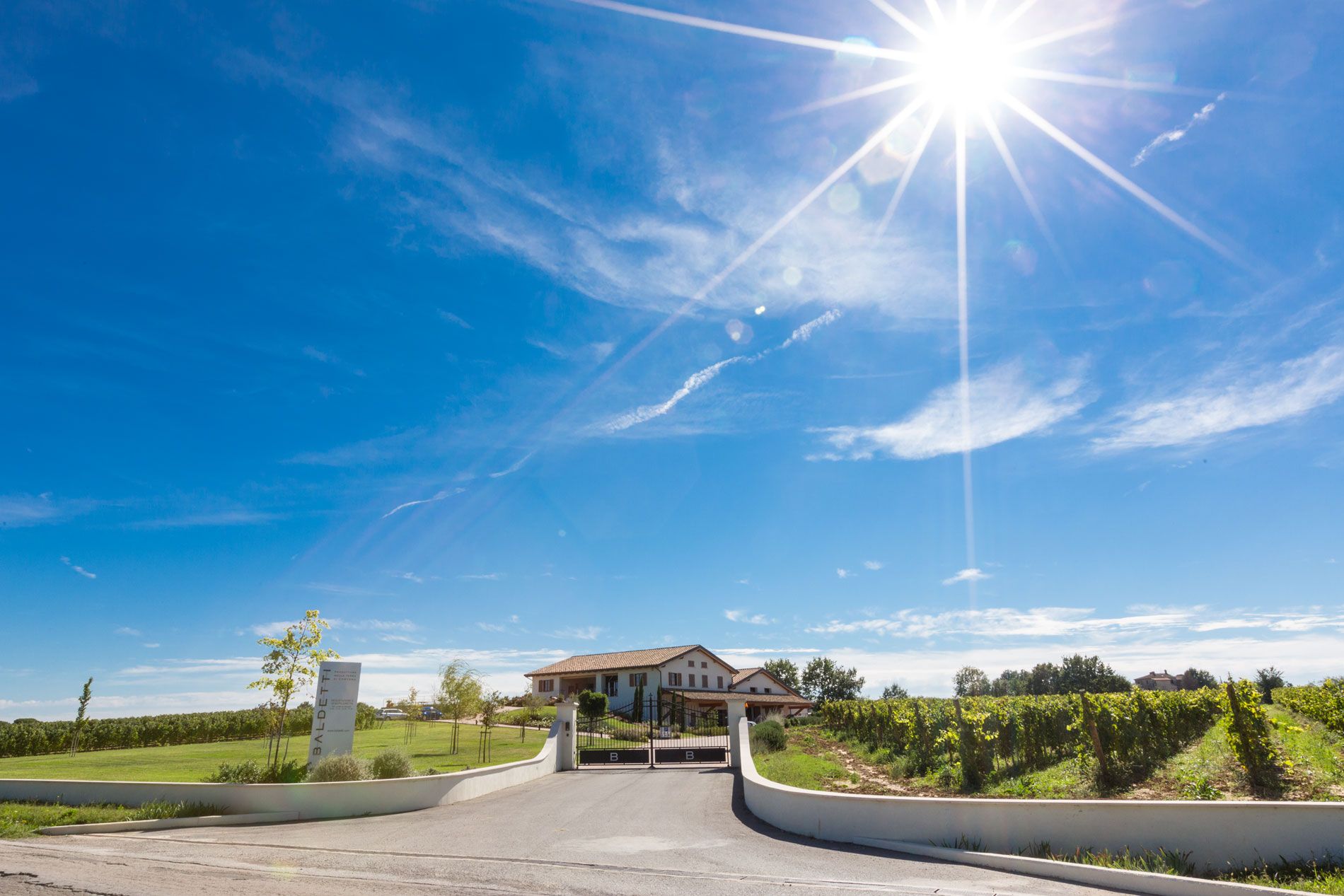 Baldetti | Winery and wine tasting in Cortona, Tuscany